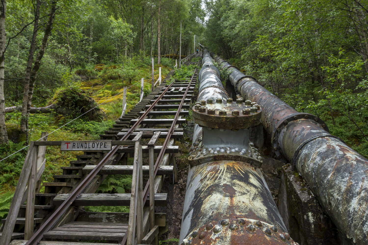 Flørli 4444 Stairs Hike & Lysefjord Cruise | Explore Lysefjorden
