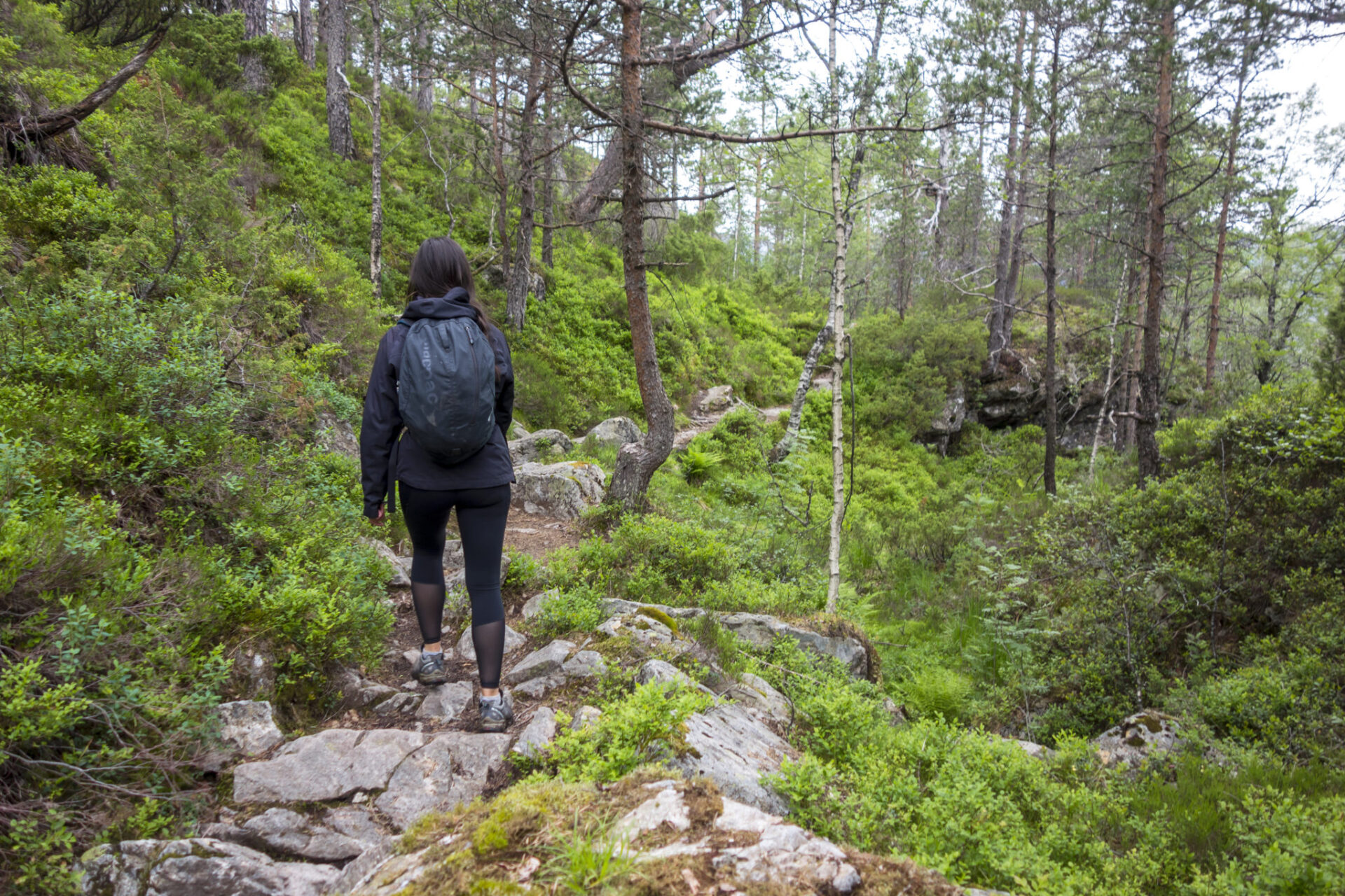 Flørli 4444 Stairs Hike & Lysefjord Cruise | Explore Lysefjorden